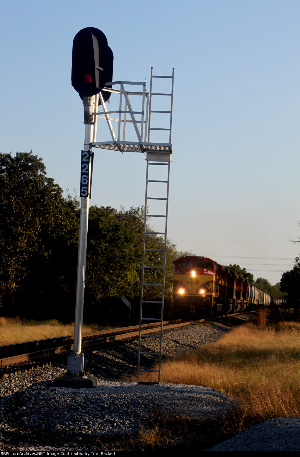 Rolling out of the sun